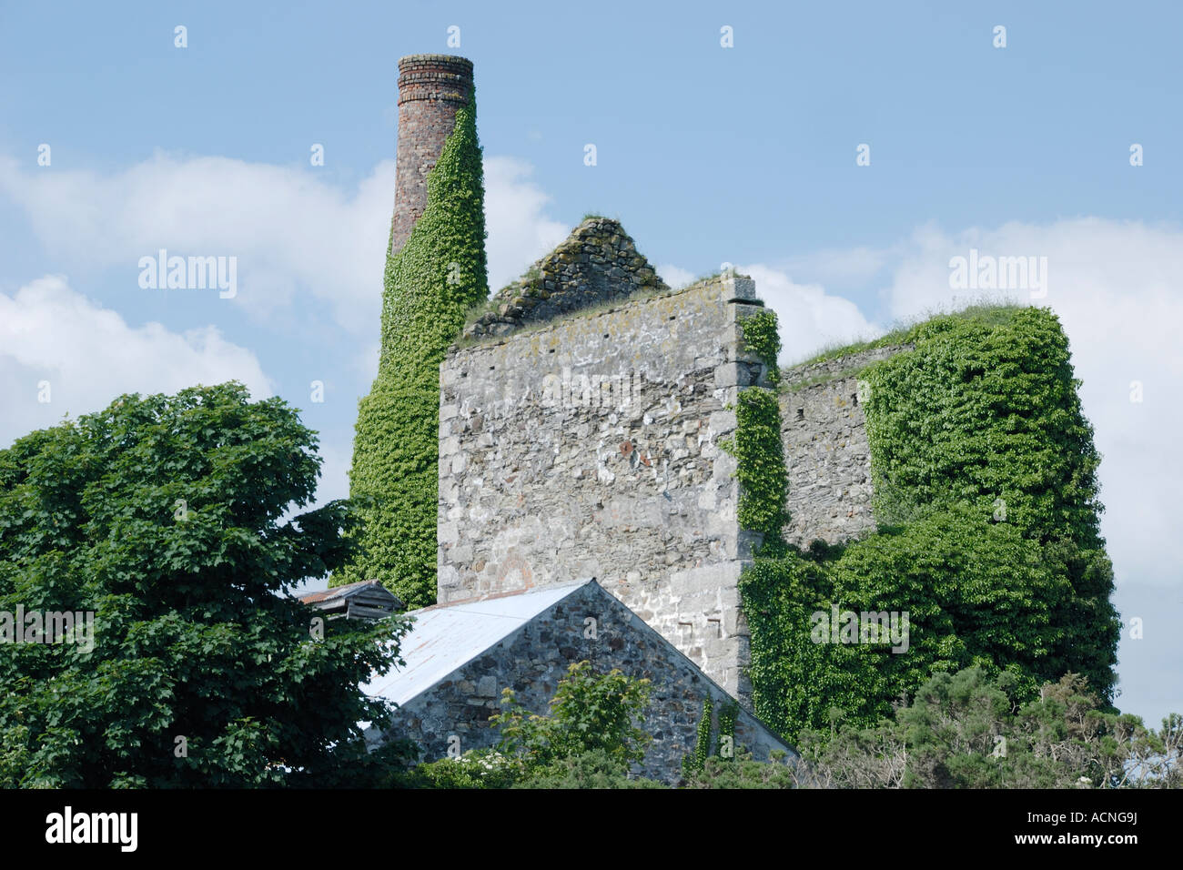 Ivy covered ruins hi-res stock photography and images - Alamy