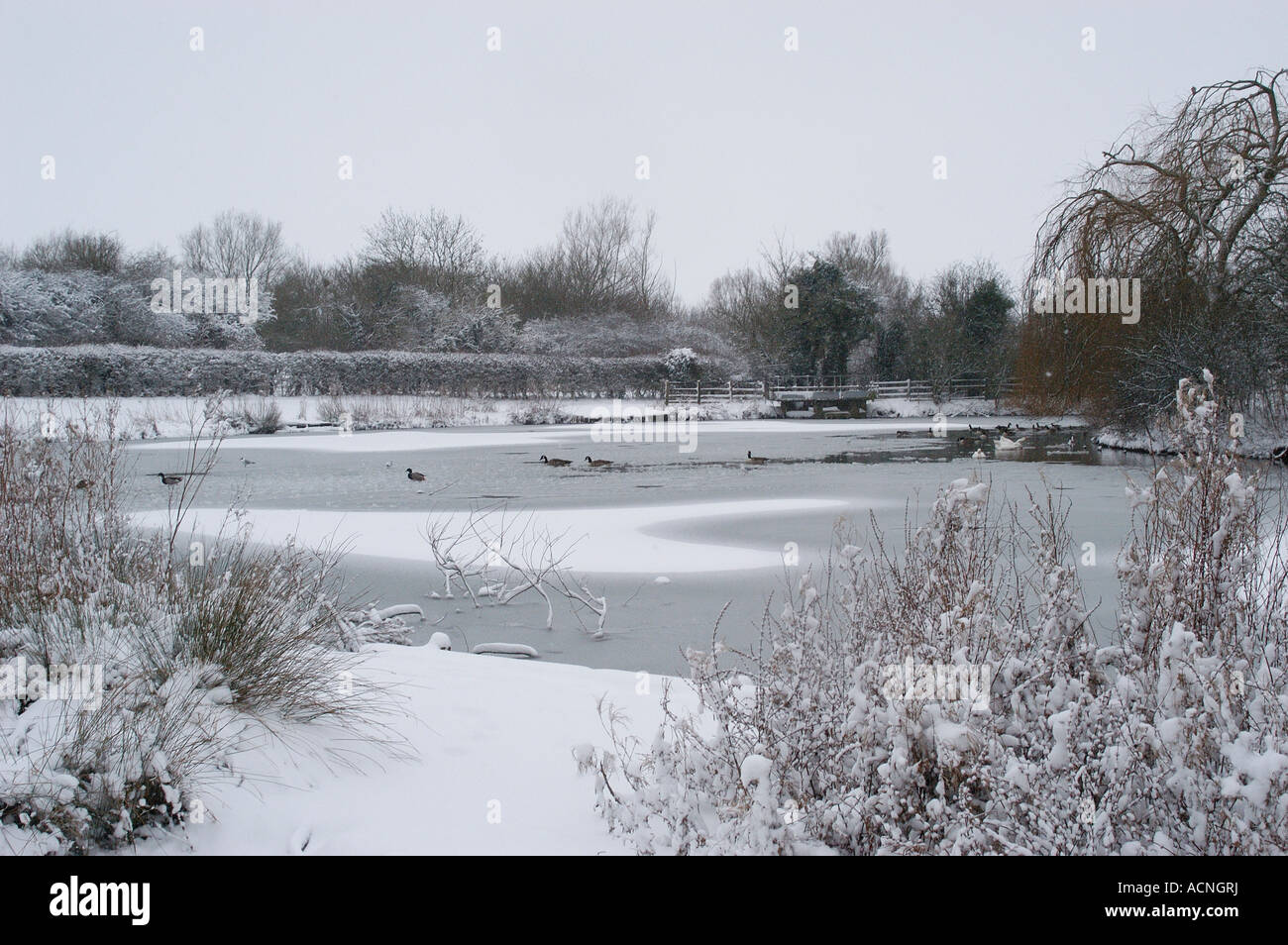 Winter Snow Scene in England Stock Photo - Alamy
