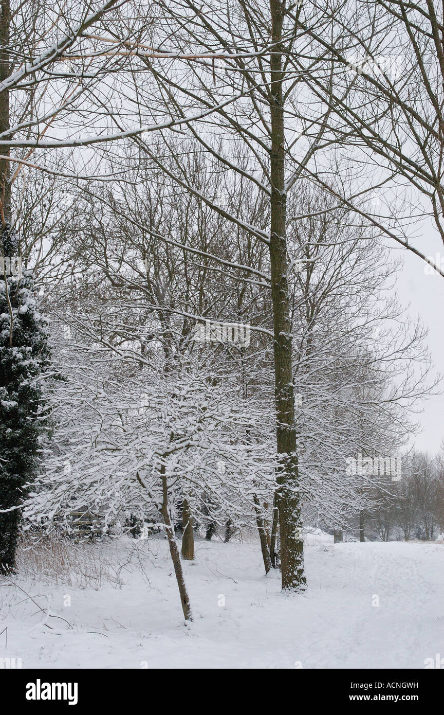 Winter Snow Scene in England Stock Photo - Alamy