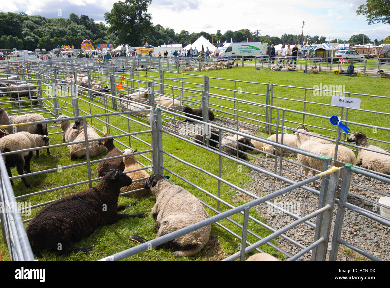 Border Union Show Kelso 2007 sheep exhibit blackface few days before ...