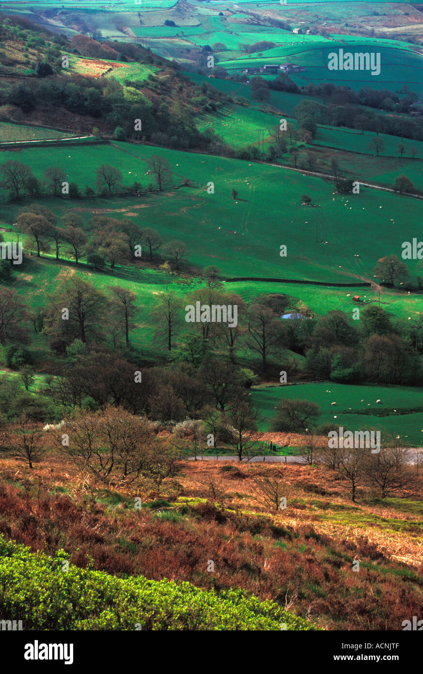Yorkshire on her mount hi-res stock photography and images - Alamy