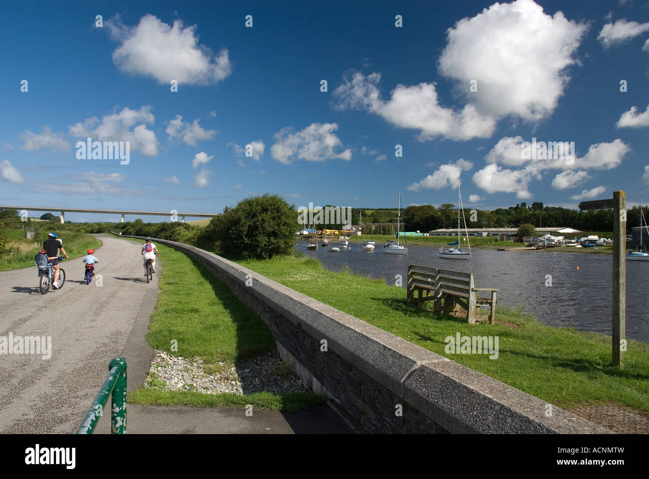 Family cycling the Camel Trail at Wadebridge Cornwall Stock Photo - Alamy