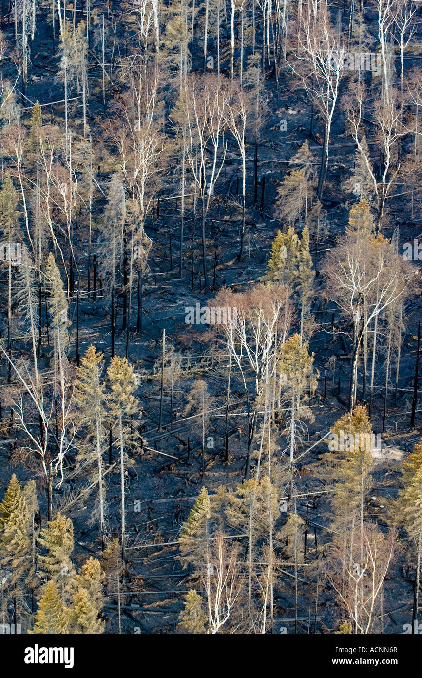 Siberia fire aerial hi-res stock photography and images - Alamy