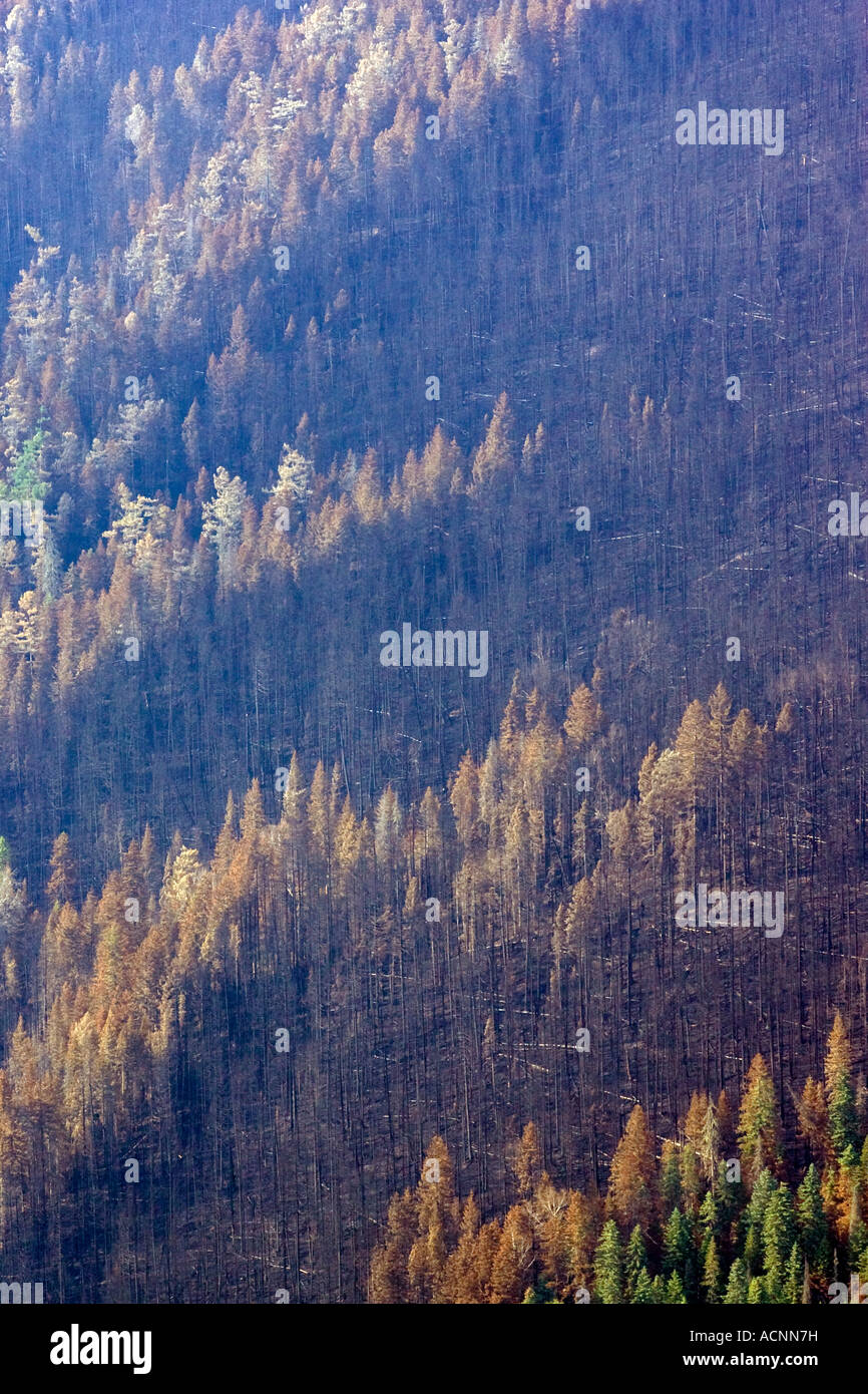 Siberia fire aerial hi-res stock photography and images - Alamy