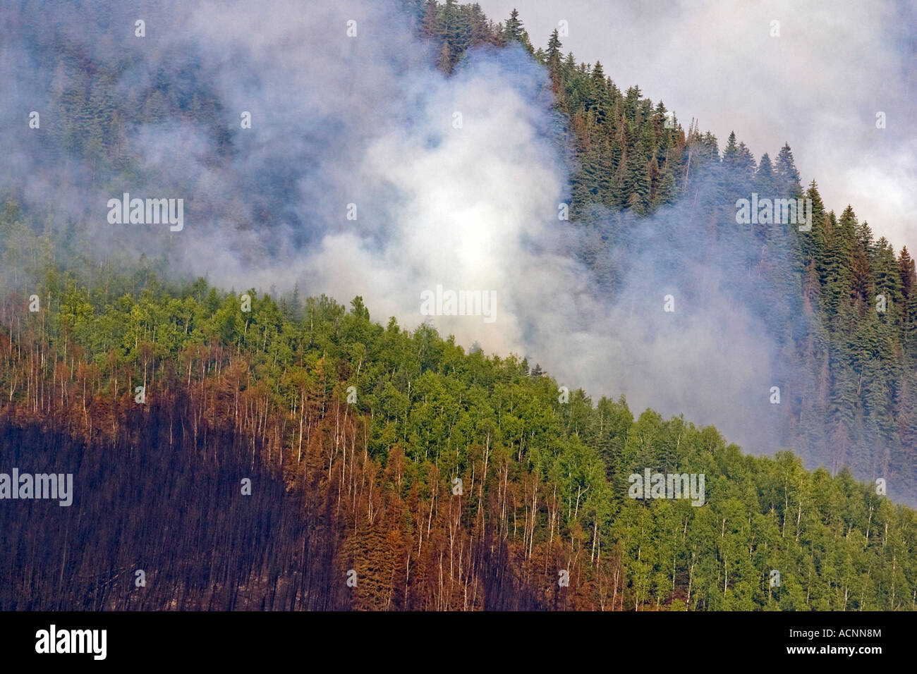 Siberia fire aerial hi-res stock photography and images - Alamy