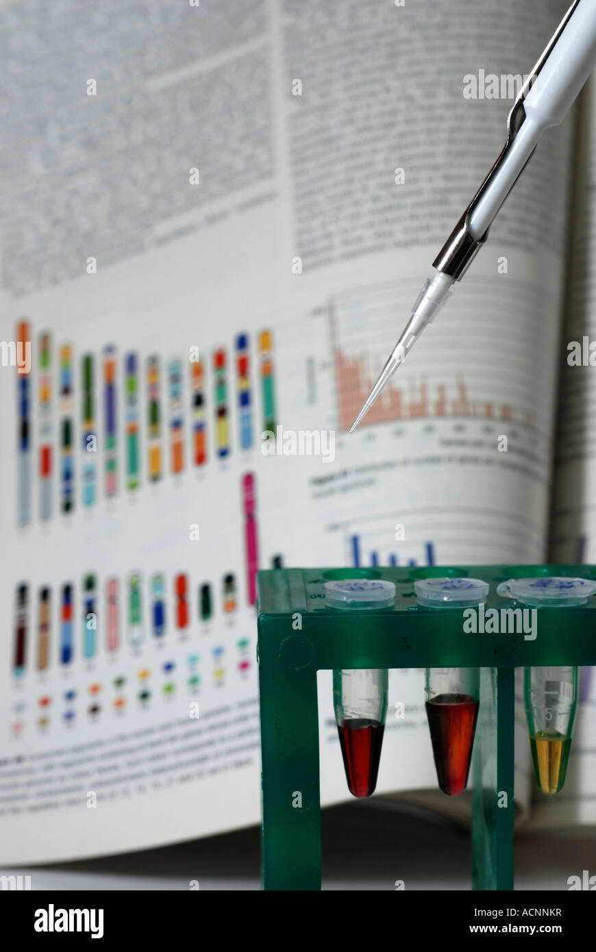 DNA samples in a test tube rack with graphics charts reference in the ...