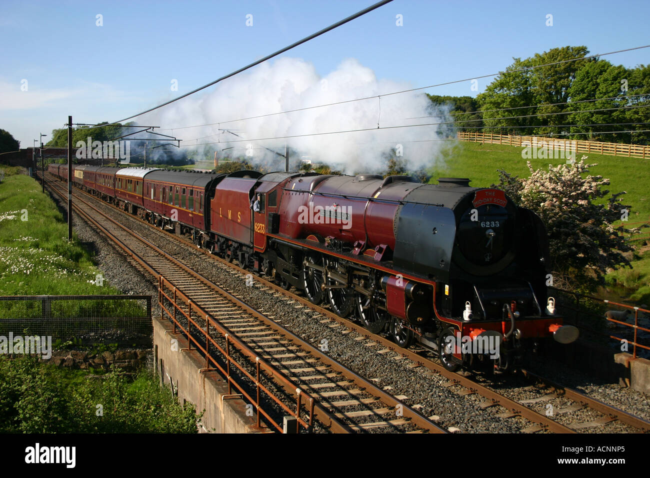 Duchess of Sutherland at Woodacre on The Mid-day Scot Stock Photo - Alamy