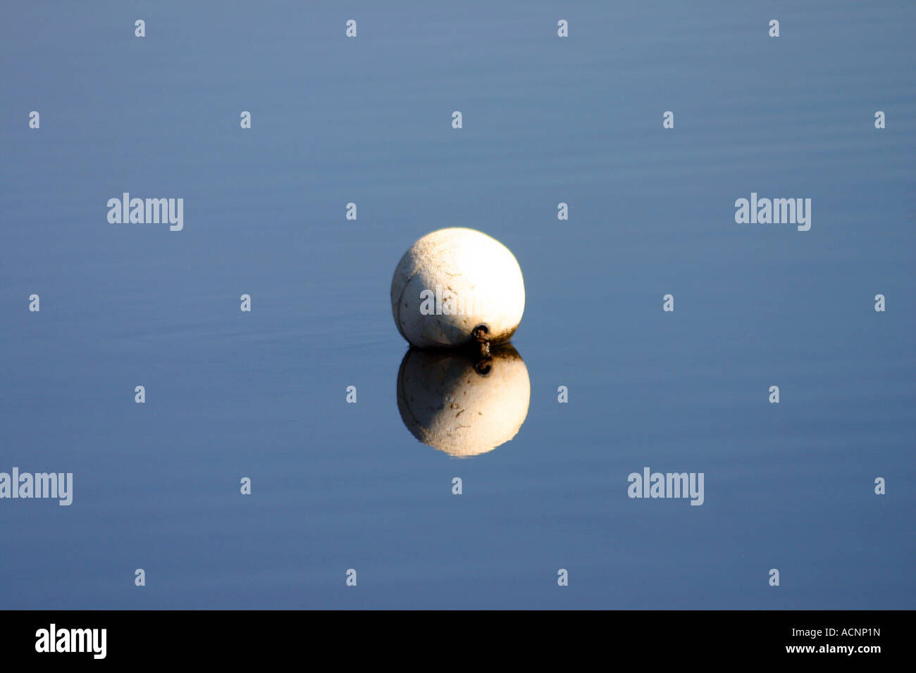 Marine Buoy on Water Stock Photo - Alamy
