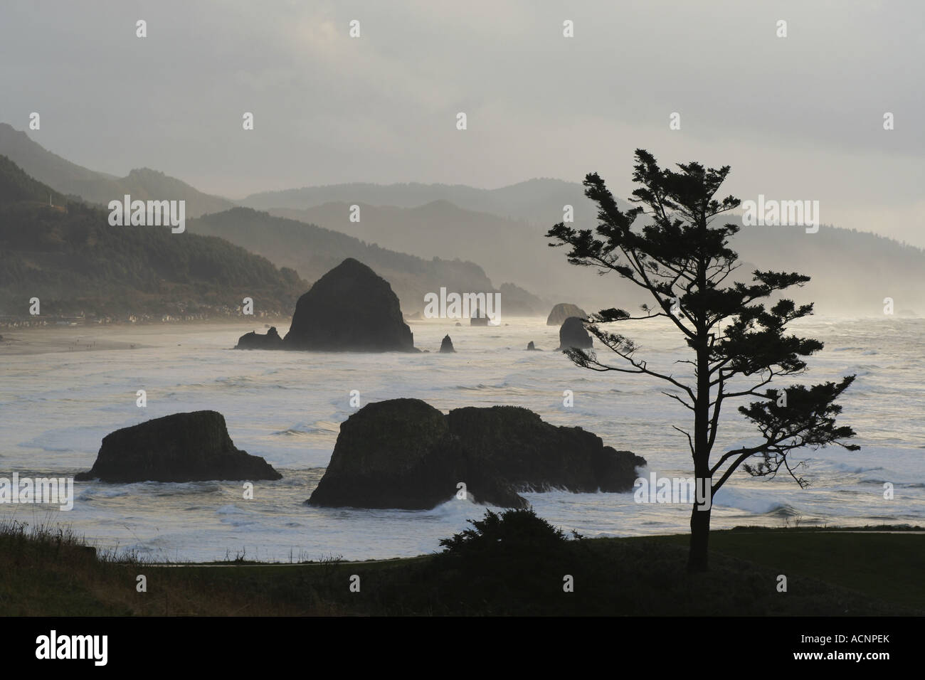 Haystack Rock from Ecola State Park in Oregon Stock Photo - Alamy