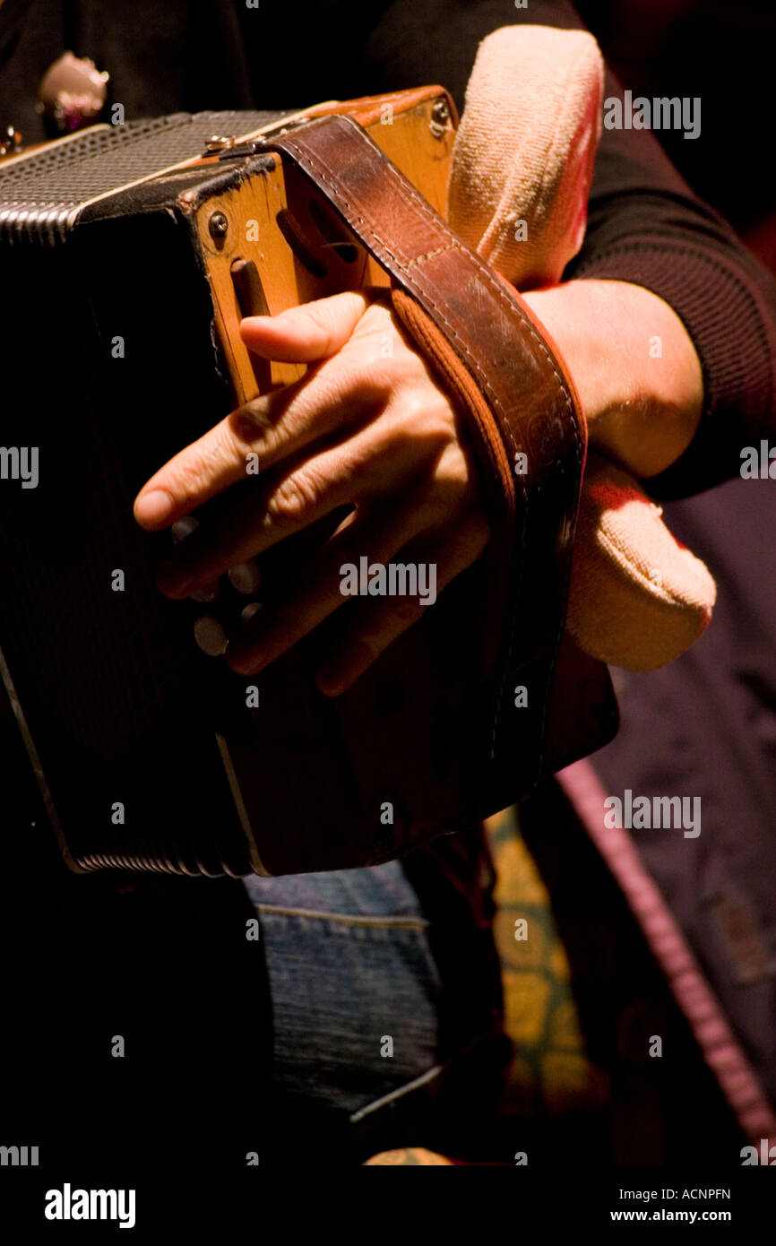 Sharon Shannon, Irish traditional musician playing live in concert ...