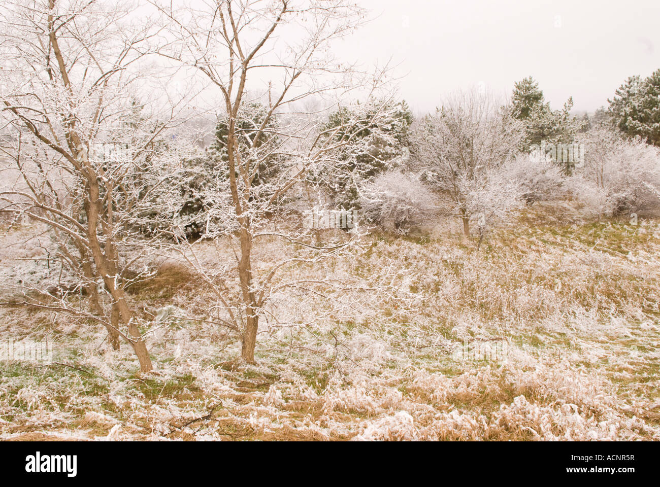 Winter scene, rural Michigan, USA Stock Photo - Alamy