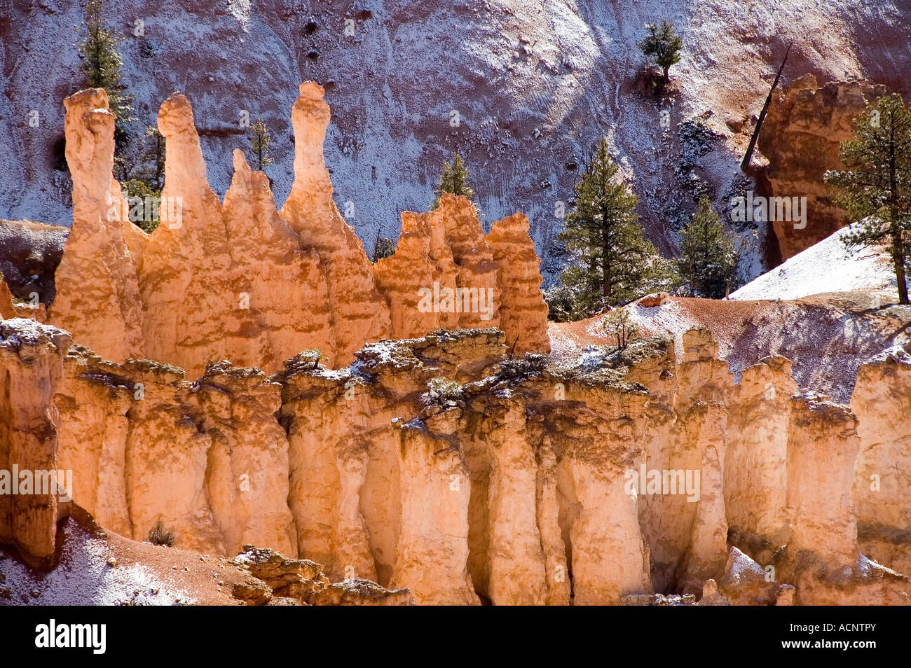 A picture illustrating some of the many of the features of Bryce Canyon ...