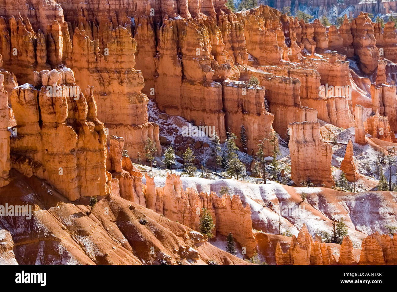 A picture illustrating some of the many of the features of Bryce Canyon ...