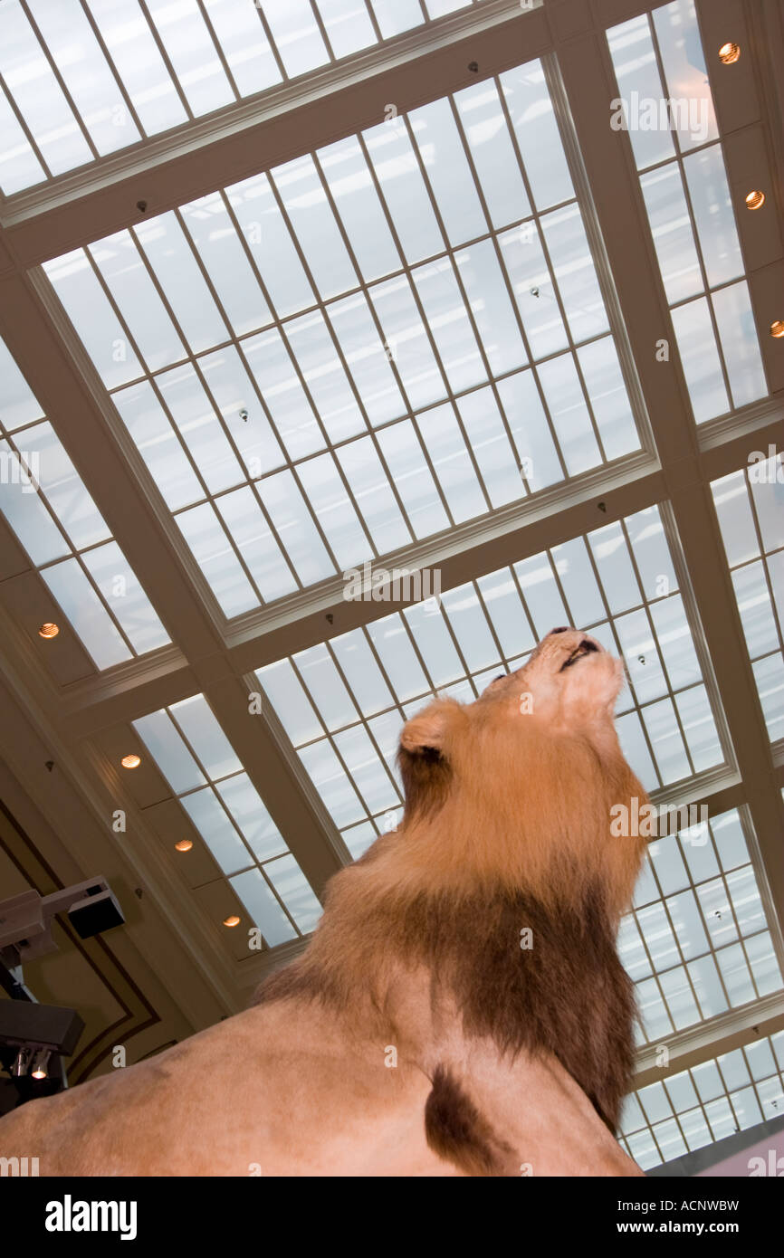 Smithsonian museum exhibit hi-res stock photography and images - Alamy