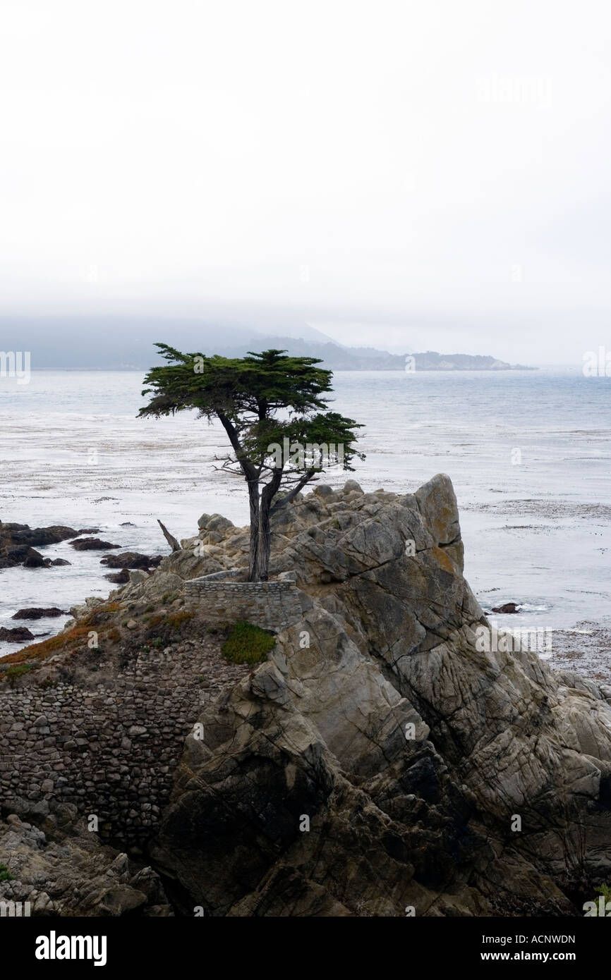 Carmel by the sea famous beach hi-res stock photography and images - Alamy