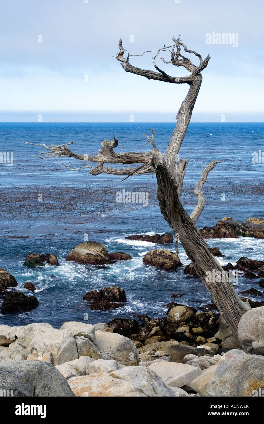 Seventeen mile rocks hi-res stock photography and images - Alamy