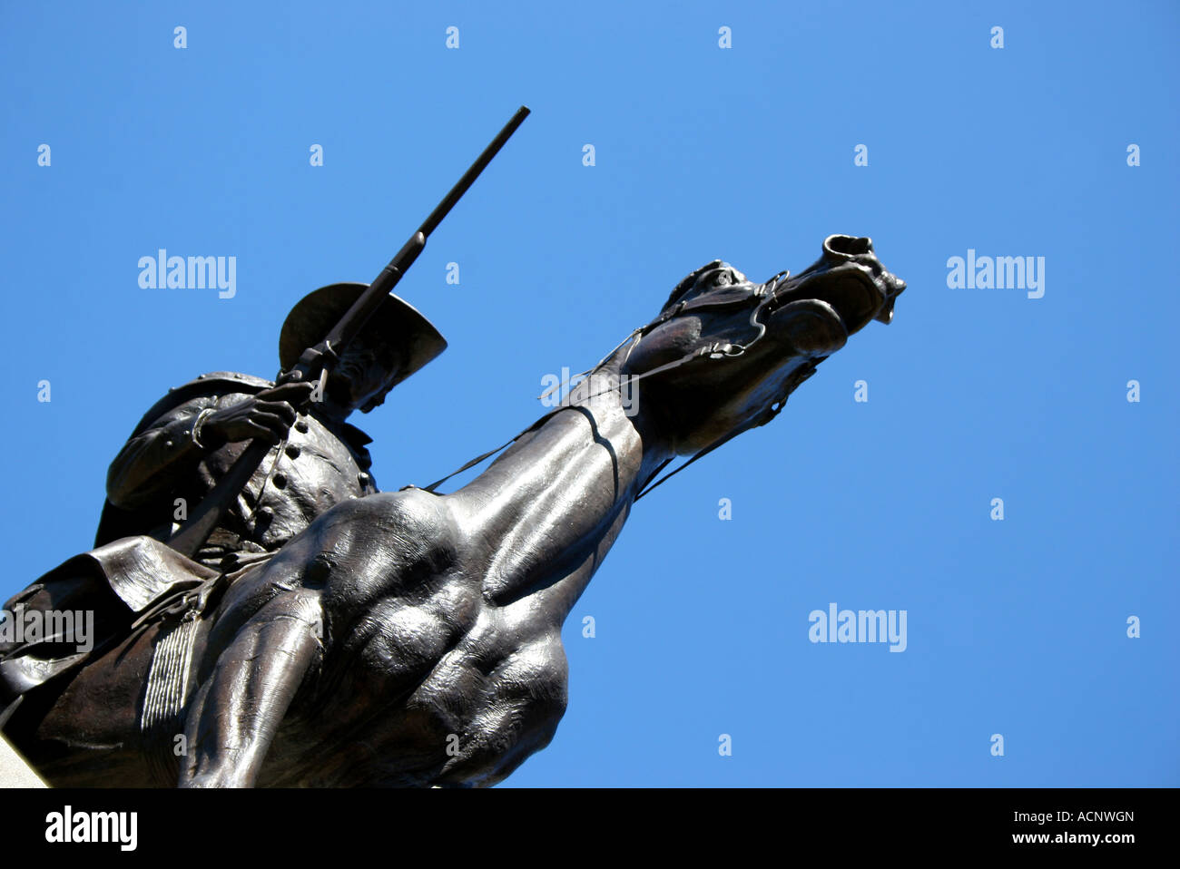 Texas cavalry hi-res stock photography and images - Alamy
