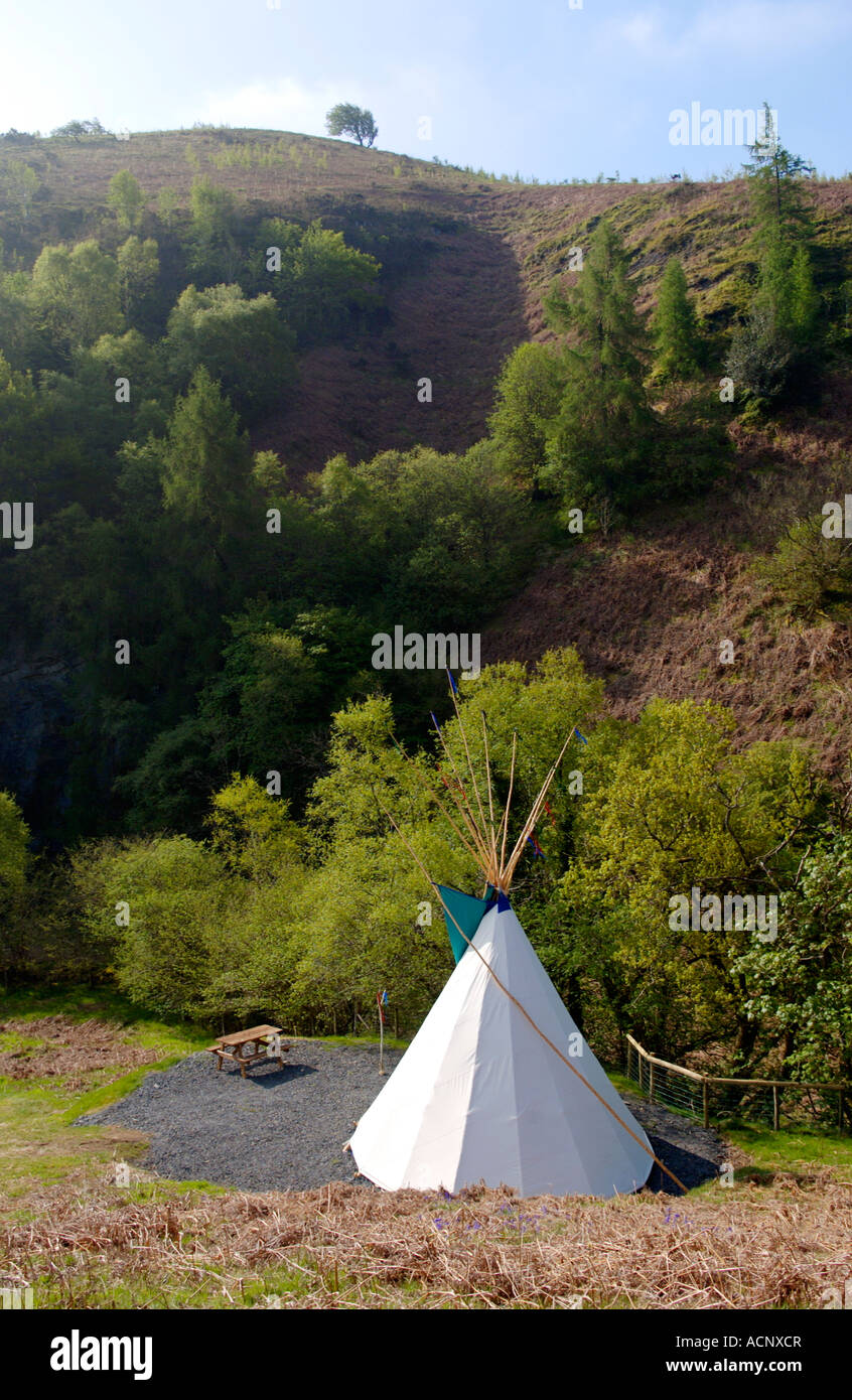 Tipi with poles and ribbons at specialist teepee campsite on farm in ...