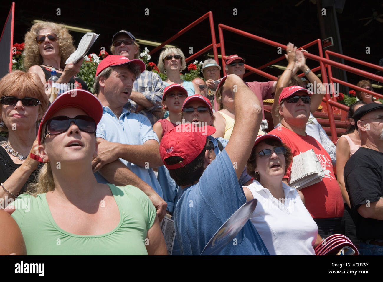Horses fans hi-res stock photography and images - Alamy