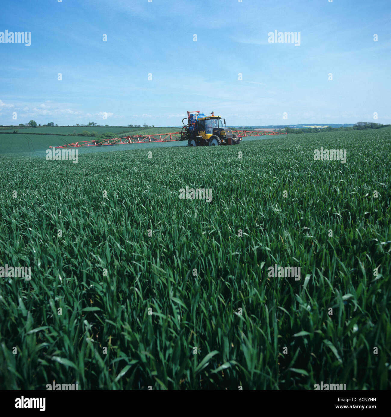 Fastrac tractor with mounted sprayer spraying establishged winter wheat ...
