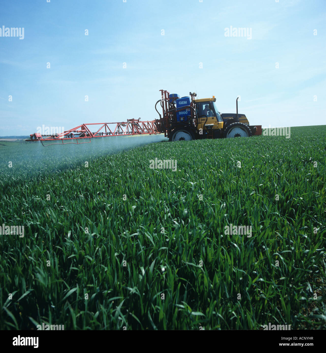 Fastrac tractor with mounted sprayer spraying establishged winter wheat ...