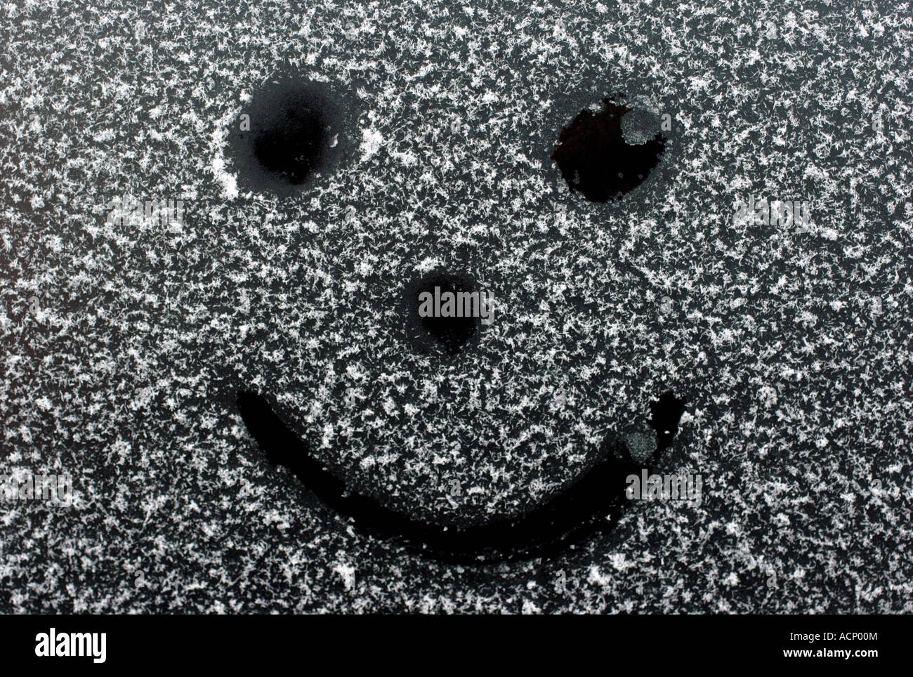 Happy face in the frost Stock Photo - Alamy