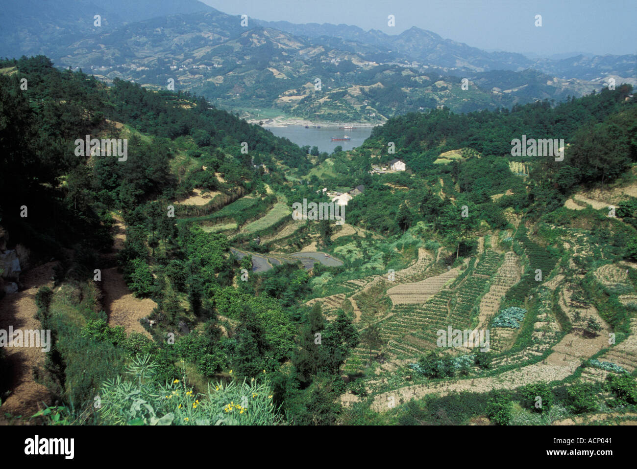 Yangtze river farming hi-res stock photography and images - Alamy