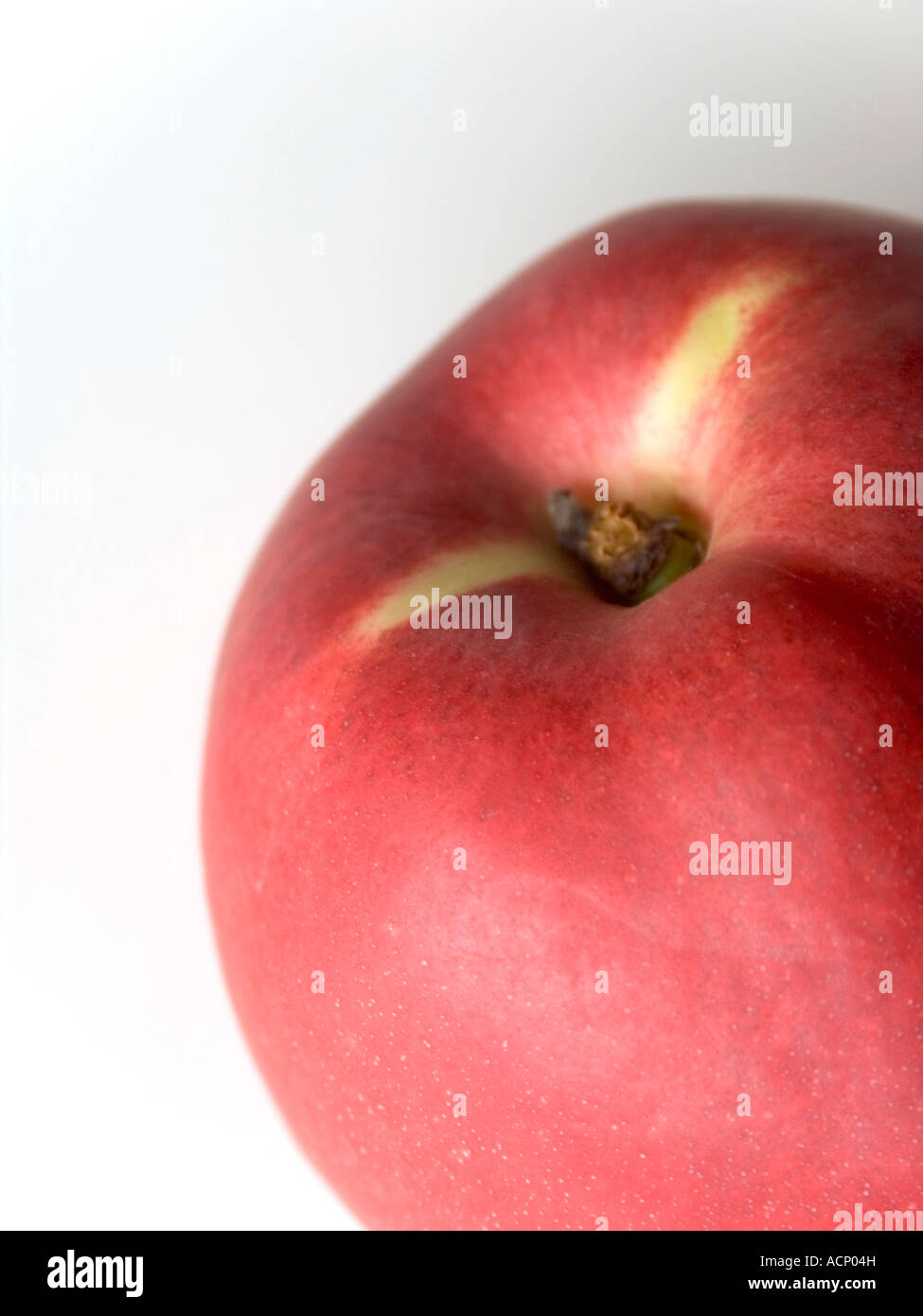Prunus persica nectarine, variety of peach on a white background Stock ...