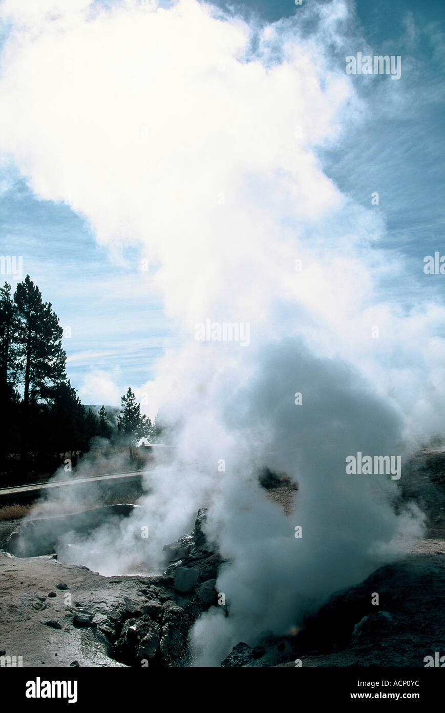 Yellowstone National Park Geyser Stock Photo - Alamy