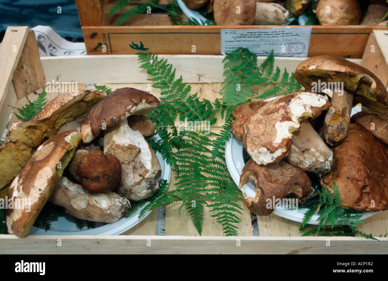 Penny Stall High Resolution Stock Photography and Images - Alamy