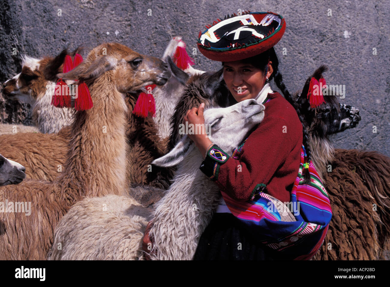 Indian woman with llamas Cuzco Peru Stock Photo - Alamy