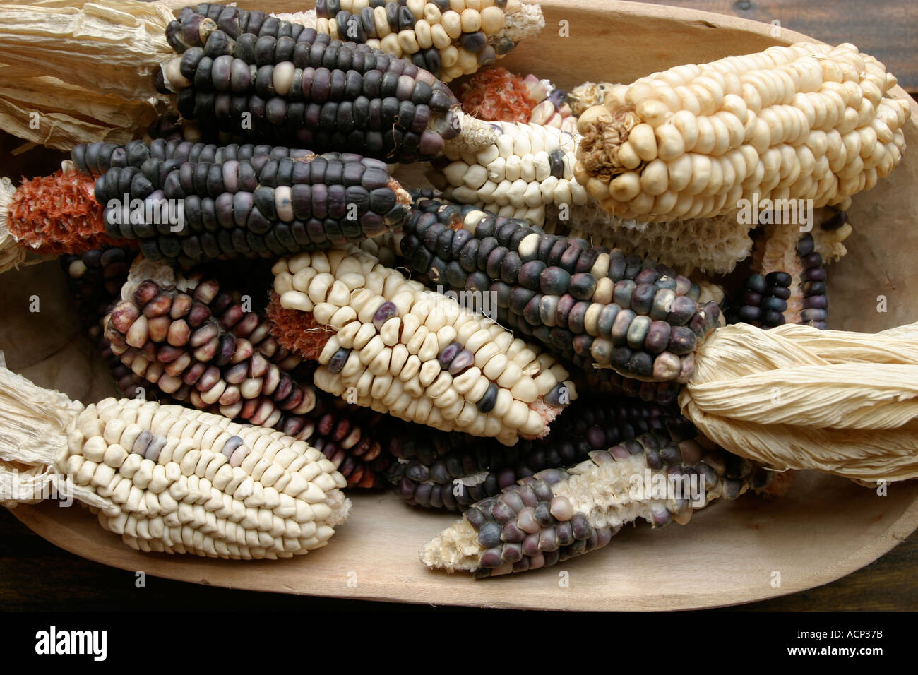 Indigenous corn varieties hi-res stock photography and images - Alamy