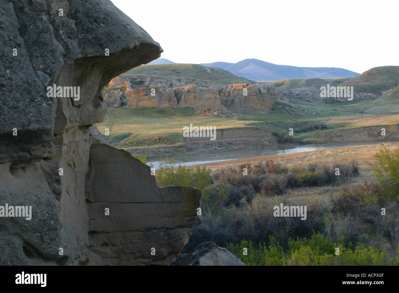 Canada prairies vegetation grass hi-res stock photography and images ...