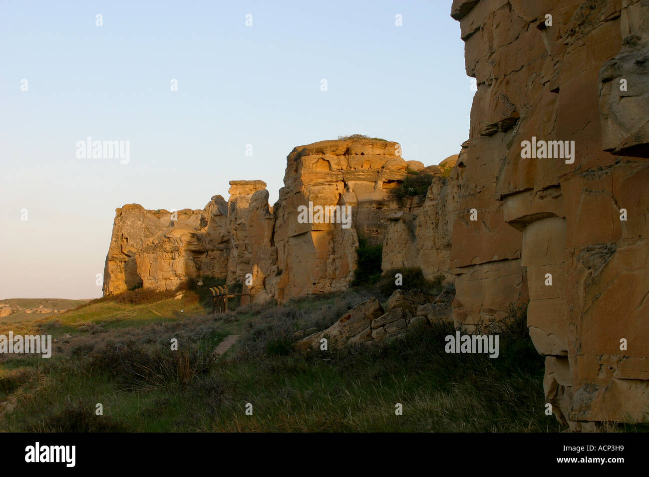 Canada prairies vegetation grass hi-res stock photography and images ...