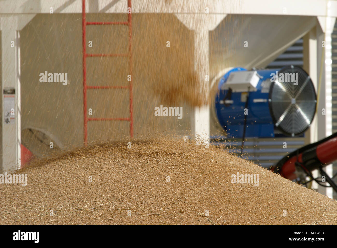 Grain drying hi-res stock photography and images - Alamy