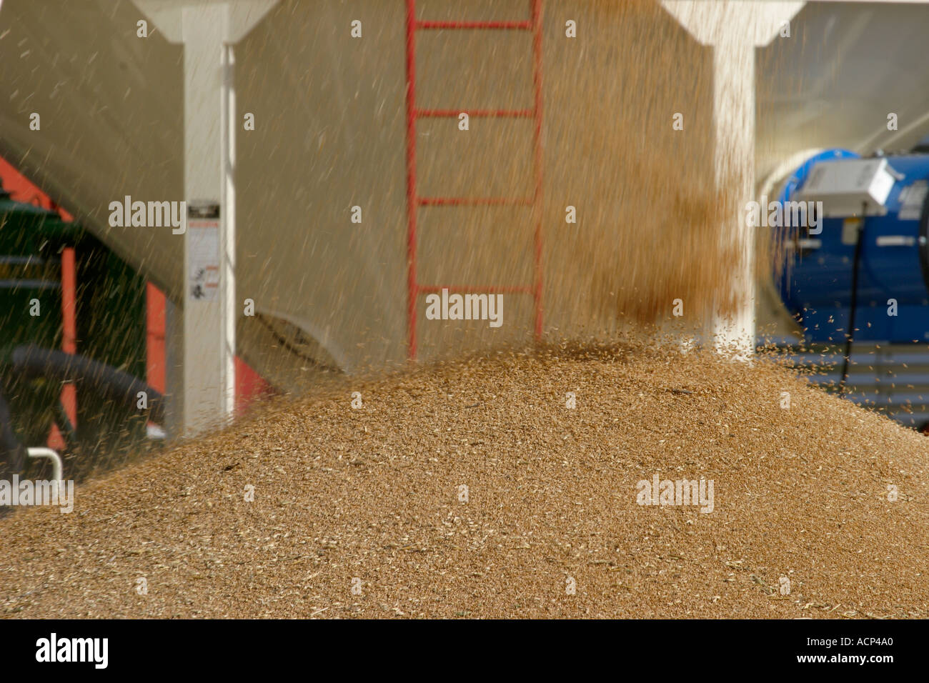 Drying grain hi-res stock photography and images - Alamy