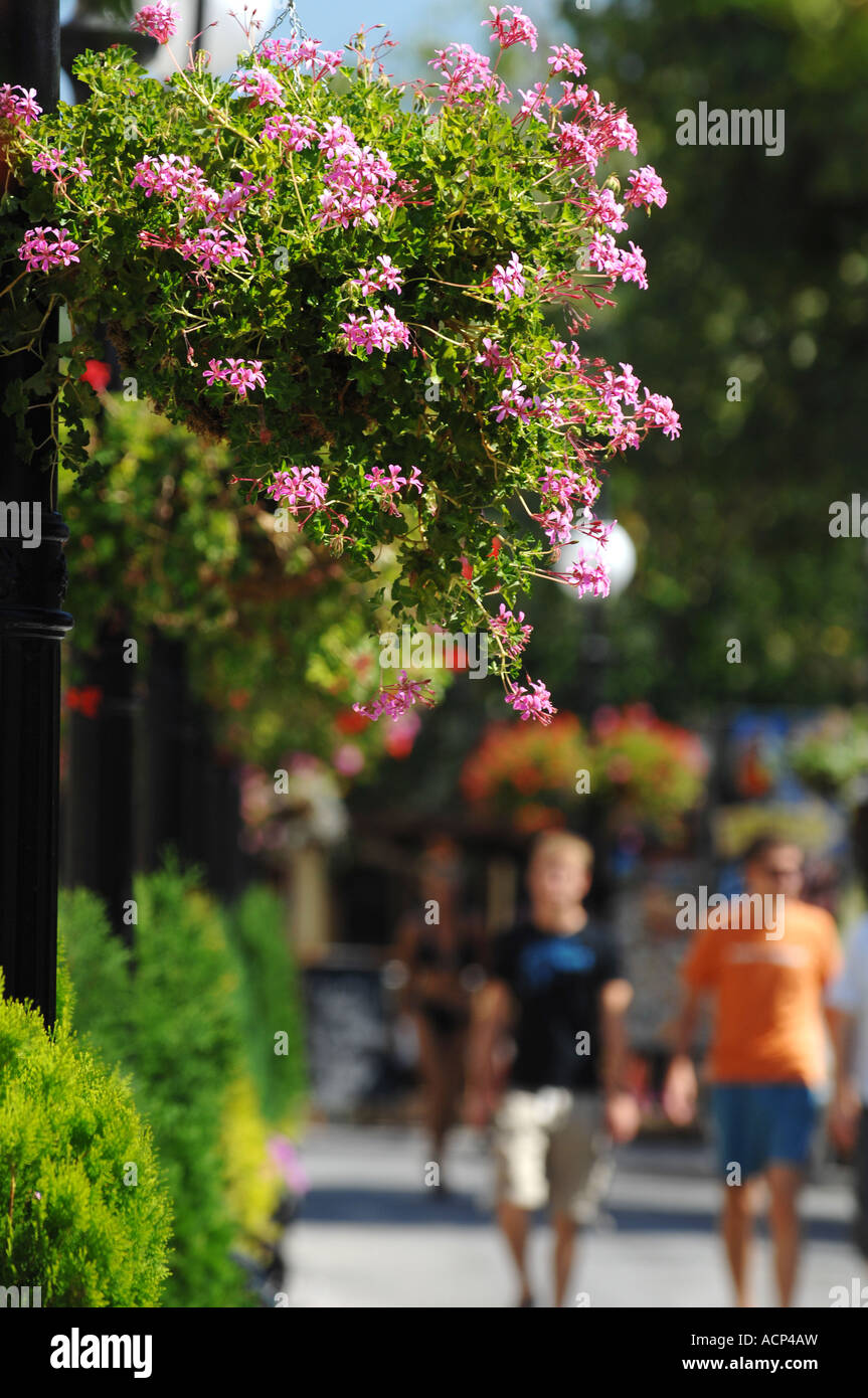 Goldan sands hi-res stock photography and images - Alamy