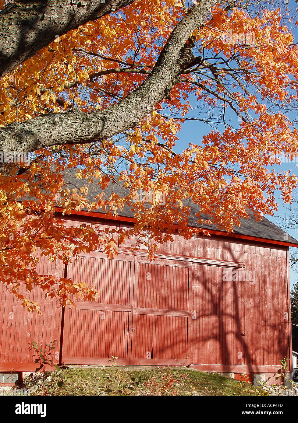 Barn planking hi-res stock photography and images - Alamy