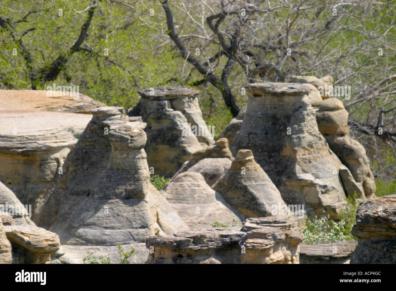 Rock milk hi-res stock photography and images - Alamy