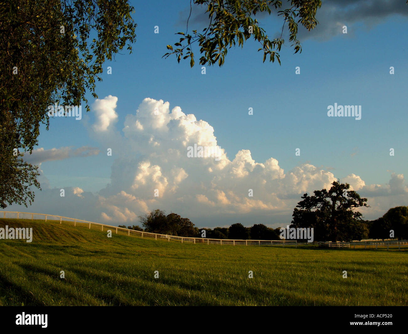 Pastoral painting hi-res stock photography and images - Alamy