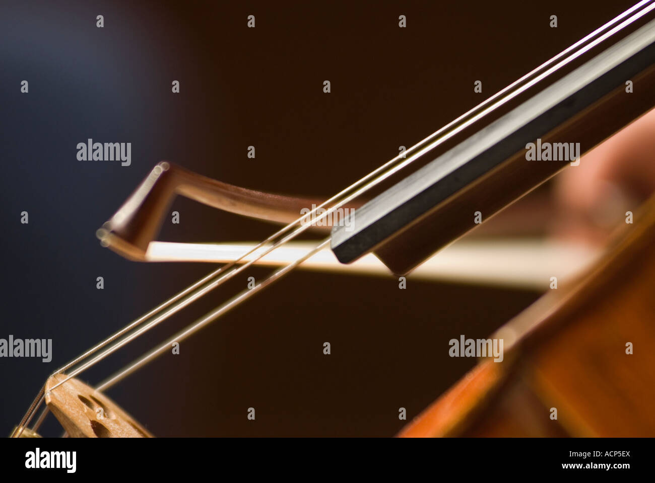 Cello bridge detail closeup hi-res stock photography and images - Alamy