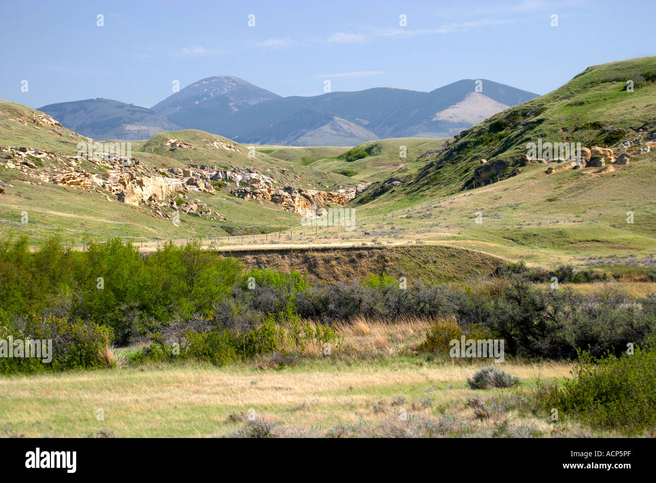 Canada prairies vegetation grass hi-res stock photography and images ...