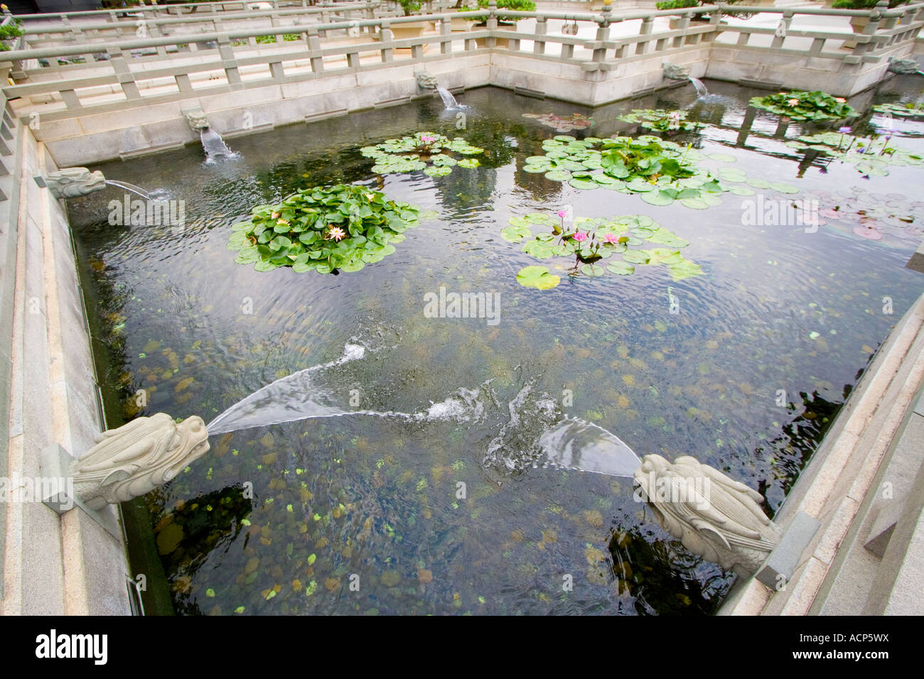 Lilie pond hi-res stock photography and images - Alamy