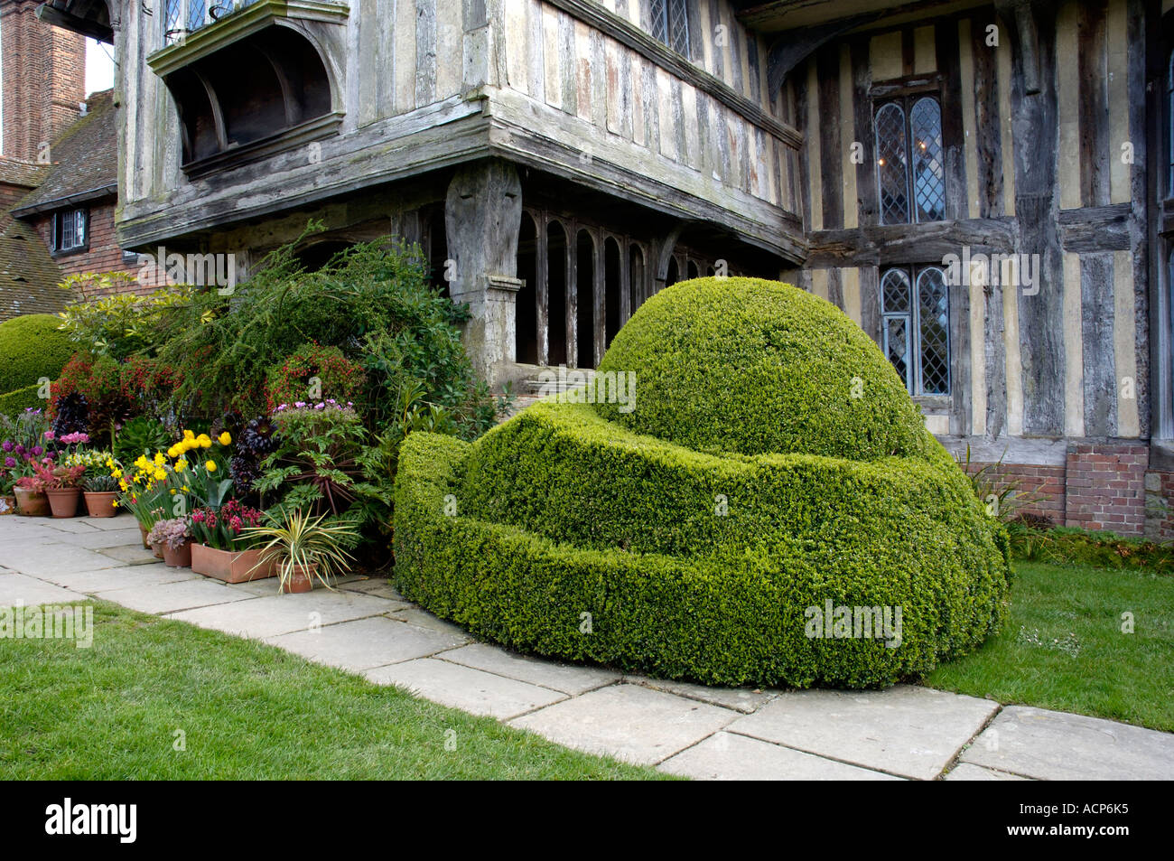 Boxwood shrubs gardens hi-res stock photography and images - Alamy