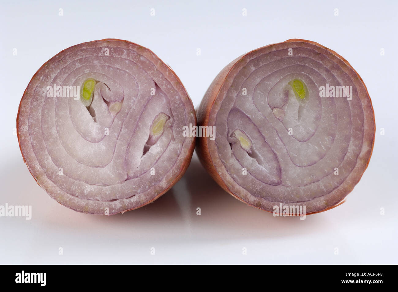 Onion / Echalot Stock Photo - Alamy