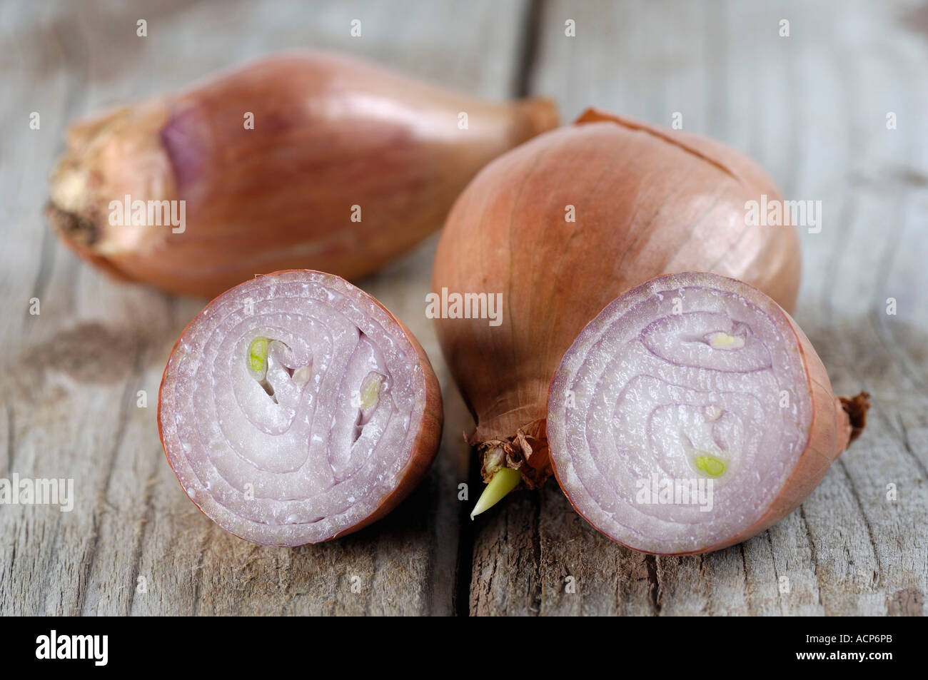 Onion / Echalot Stock Photo - Alamy