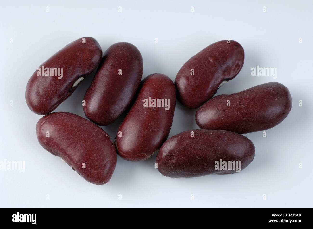 The kidney bean hi-res stock photography and images - Alamy
