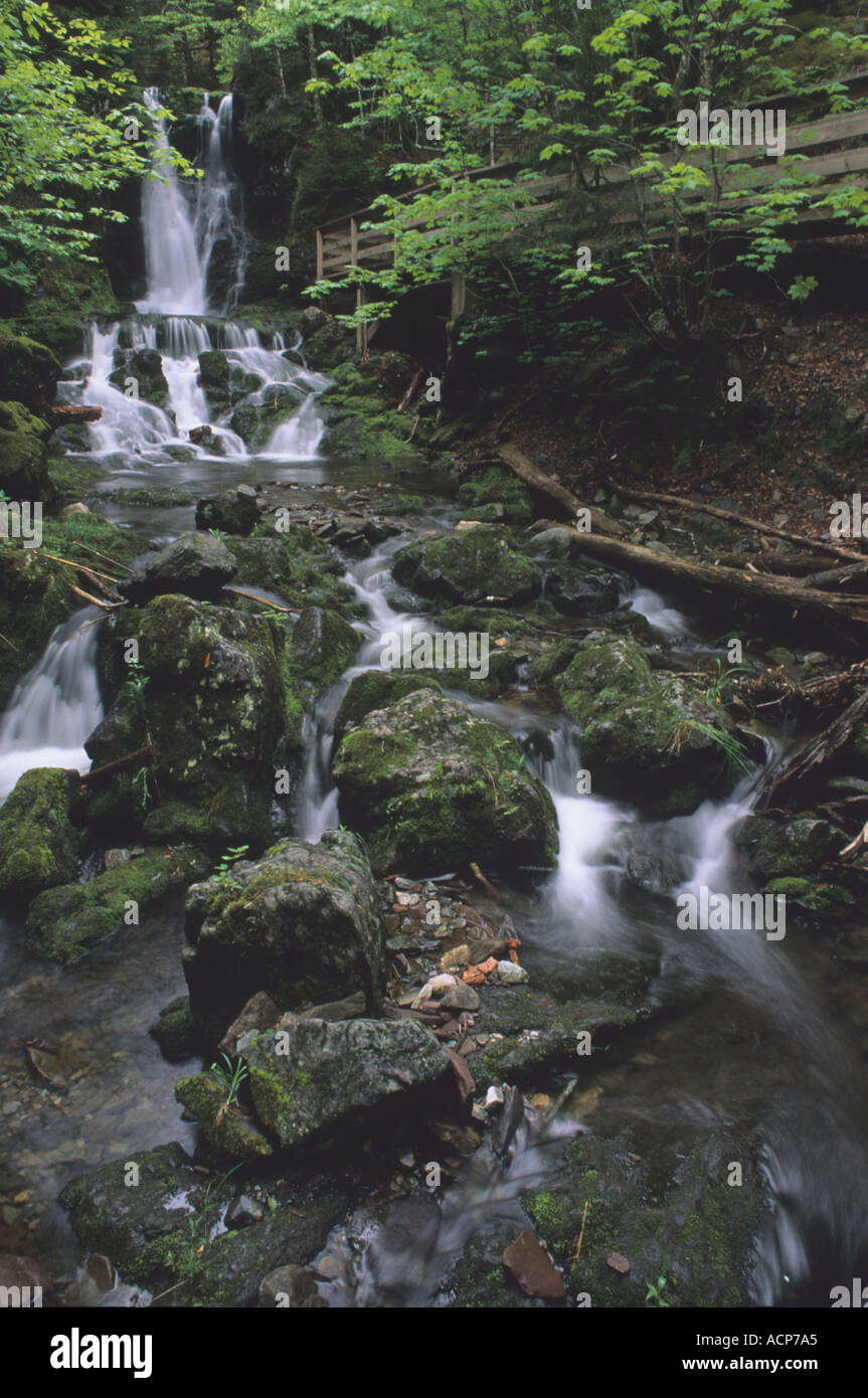 Dickson falls hi-res stock photography and images - Alamy