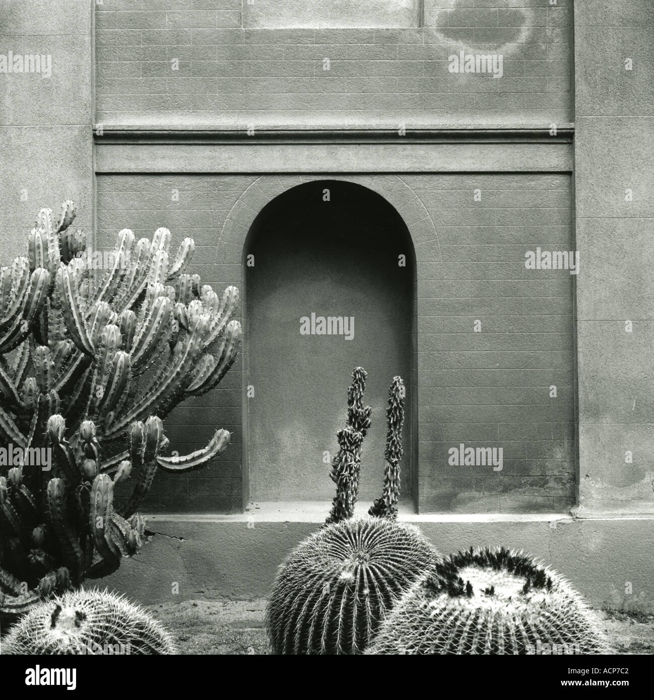 Main building inside of the Botanical Garden in Palermo capital of ...