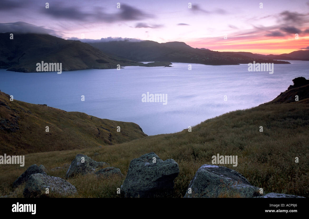 Diamond harbor new zealand hi-res stock photography and images - Alamy